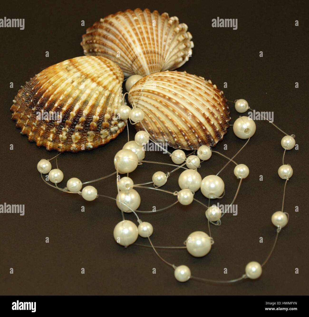 Pearl necklace shells hi-res stock photography and images - Alamy