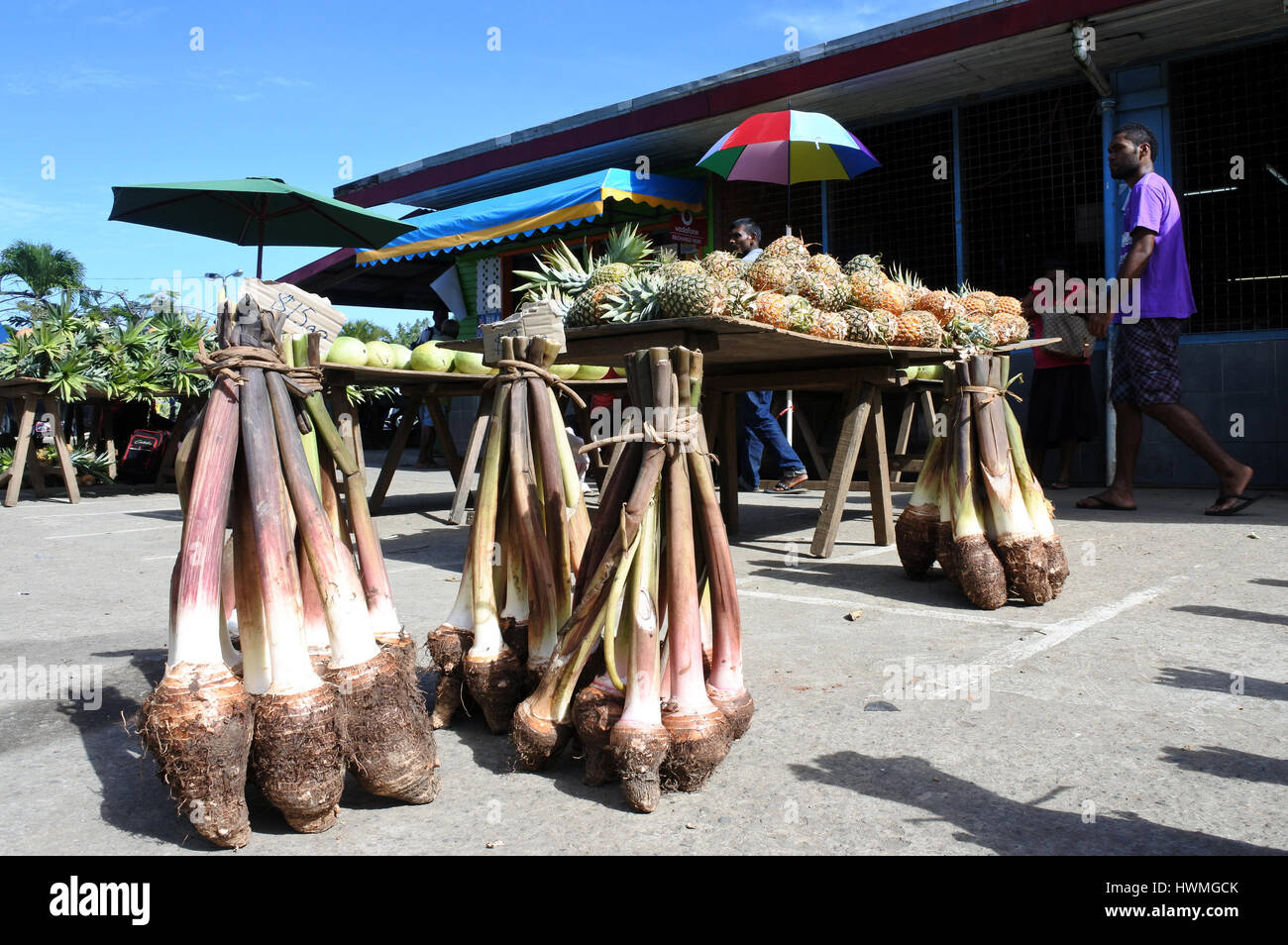 Fijian Agriculture High Resolution Stock Photography and Images - Alamy