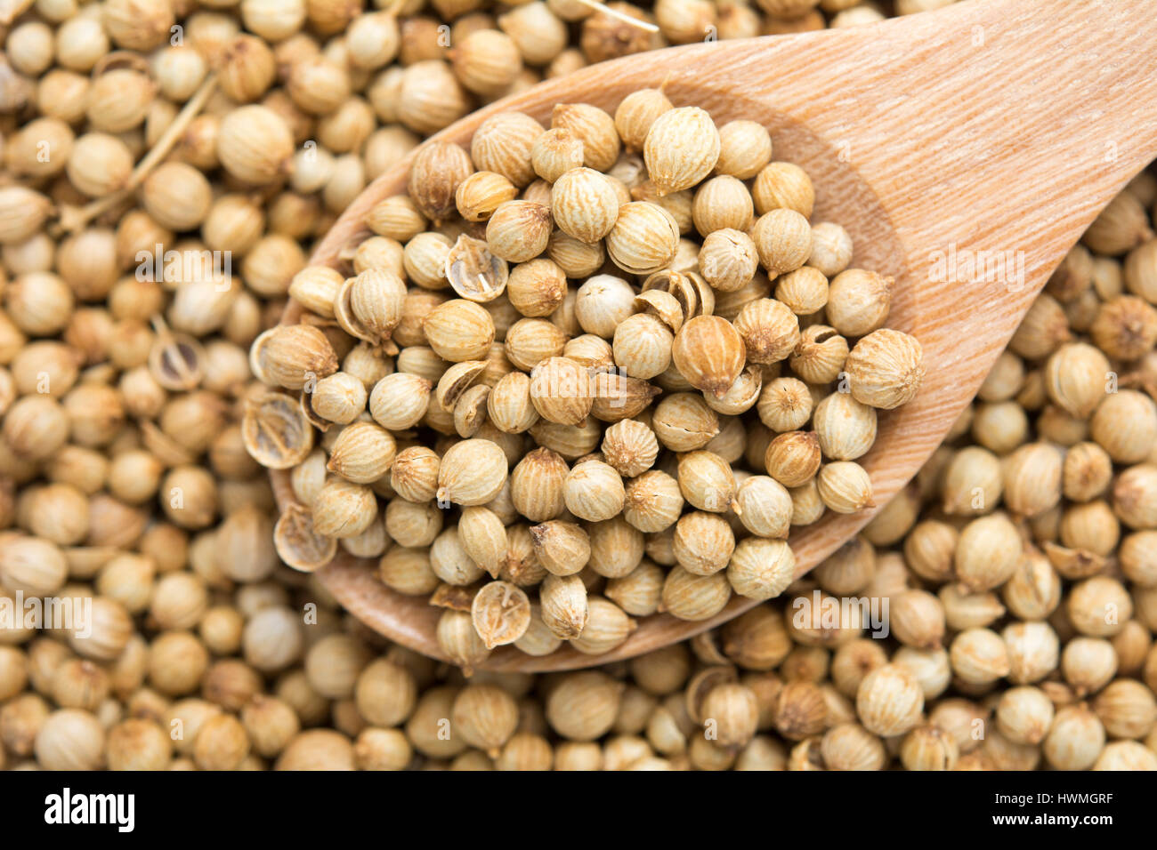 Closeup for dried coriander seeds on wooden spoon Stock Photo - Alamy