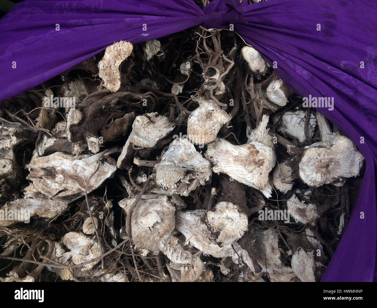 Fijian Agriculture High Resolution Stock Photography and Images - Alamy