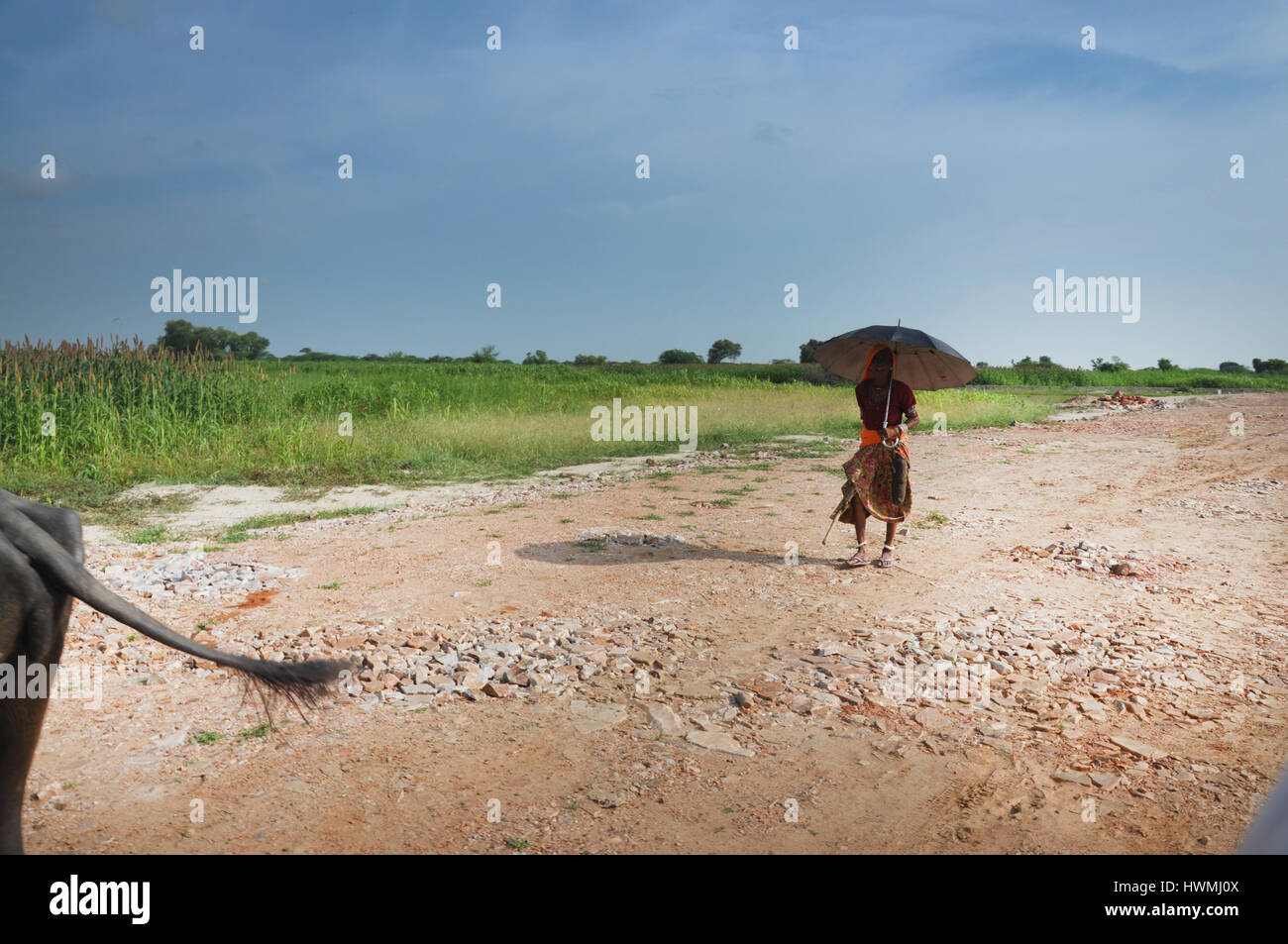Rajasthan Village people / rural / (Photo Copyright © by Saji Maramon ...