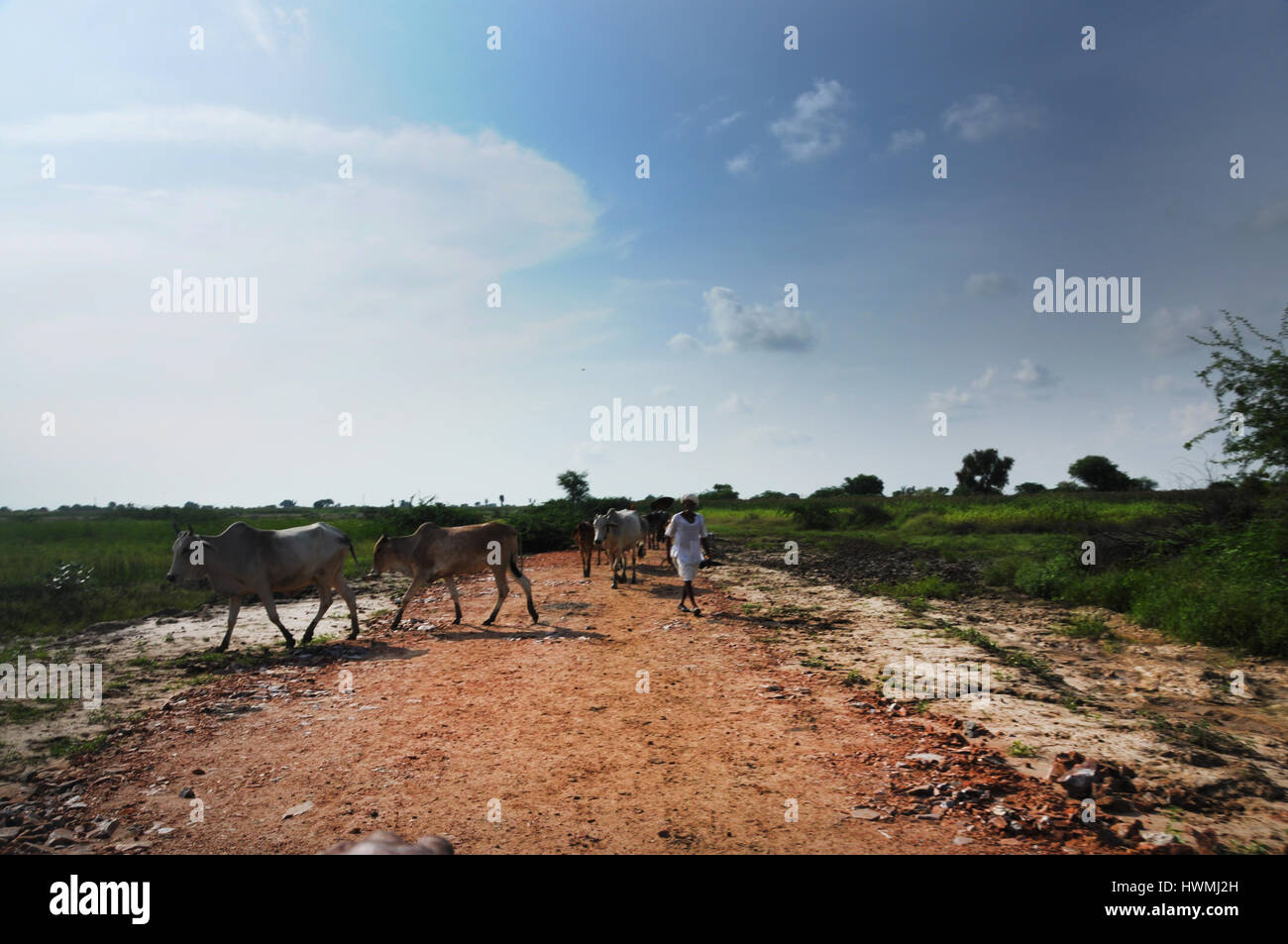 Rajasthan Village people / rural / (Photo Copyright © by Saji Maramon ...