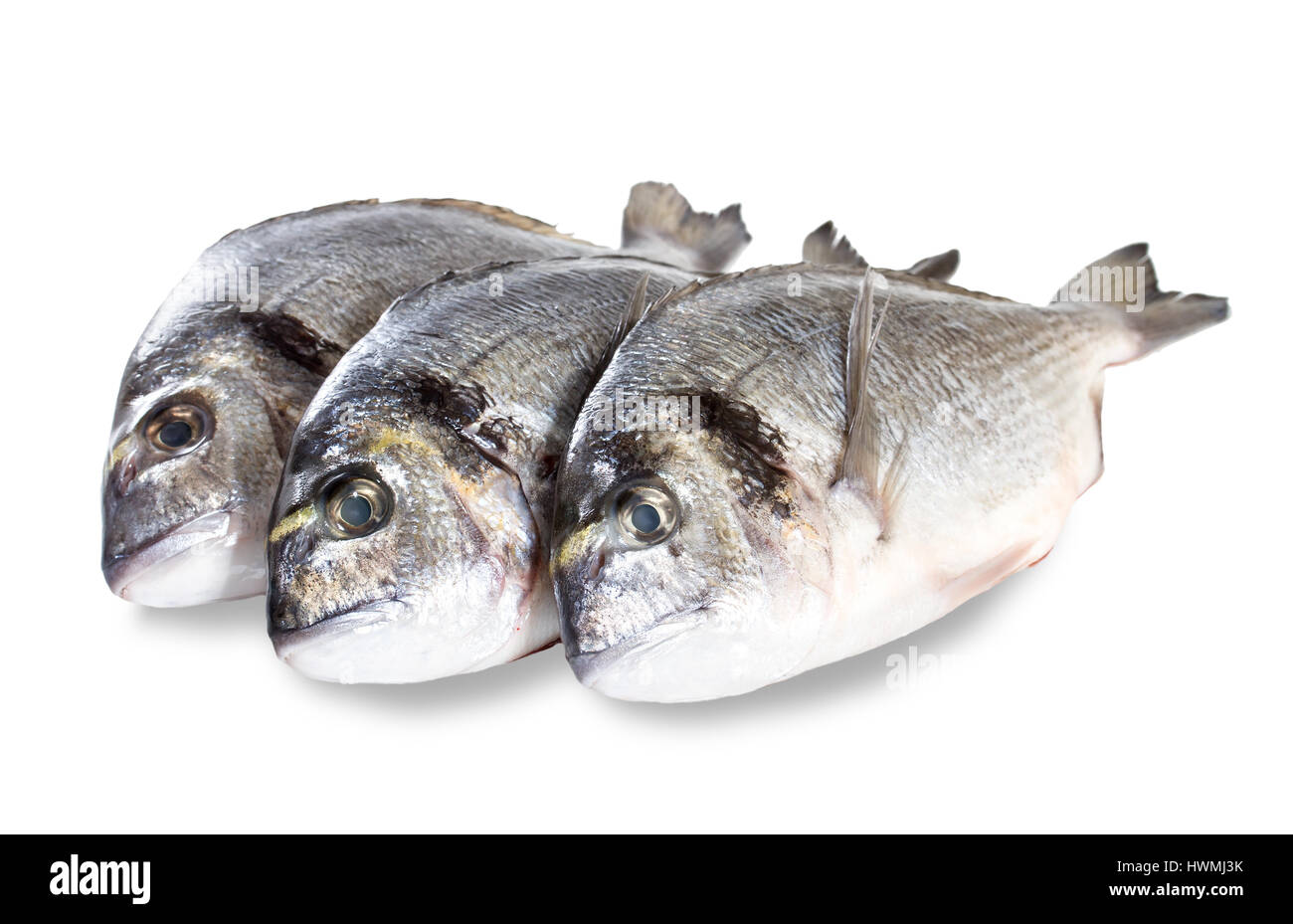 Fresh dorado fish isolated on white background Stock Photo - Alamy