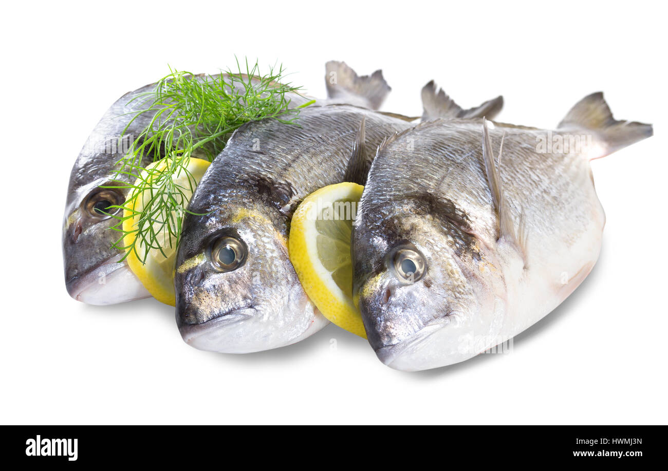 Fresh Dorado Fish isolated on white background ingredients for cooking ...