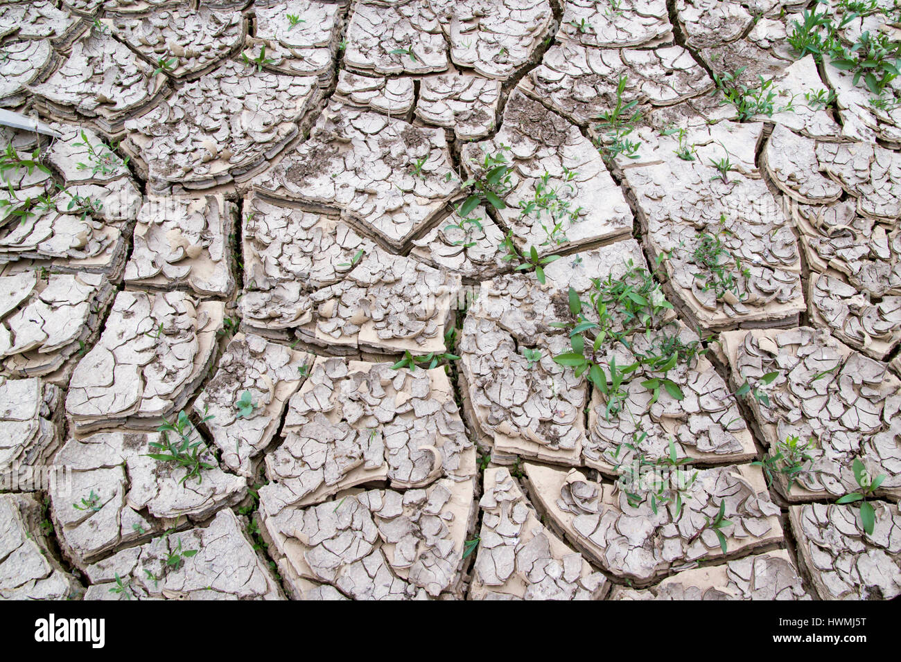 Land with dry ground. Disaster Stock Photo - Alamy