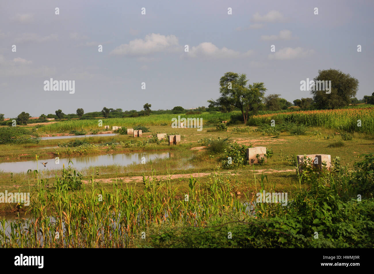 Rural Land, Rajasthan Village Landscape Developing (Photo Copyright ...