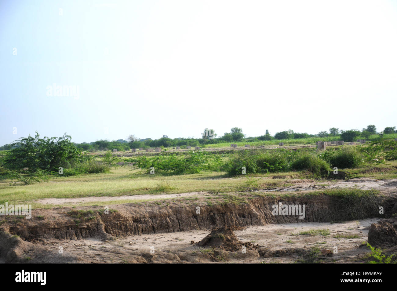 Agricultural Land, green grass, Rural Land, Rajasthan Village Landscape ...