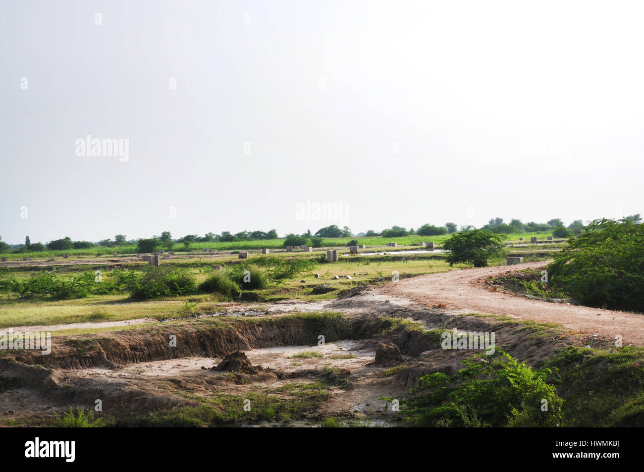 Agricultural Land, green grass, Rural Land, Rajasthan Village Landscape ...
