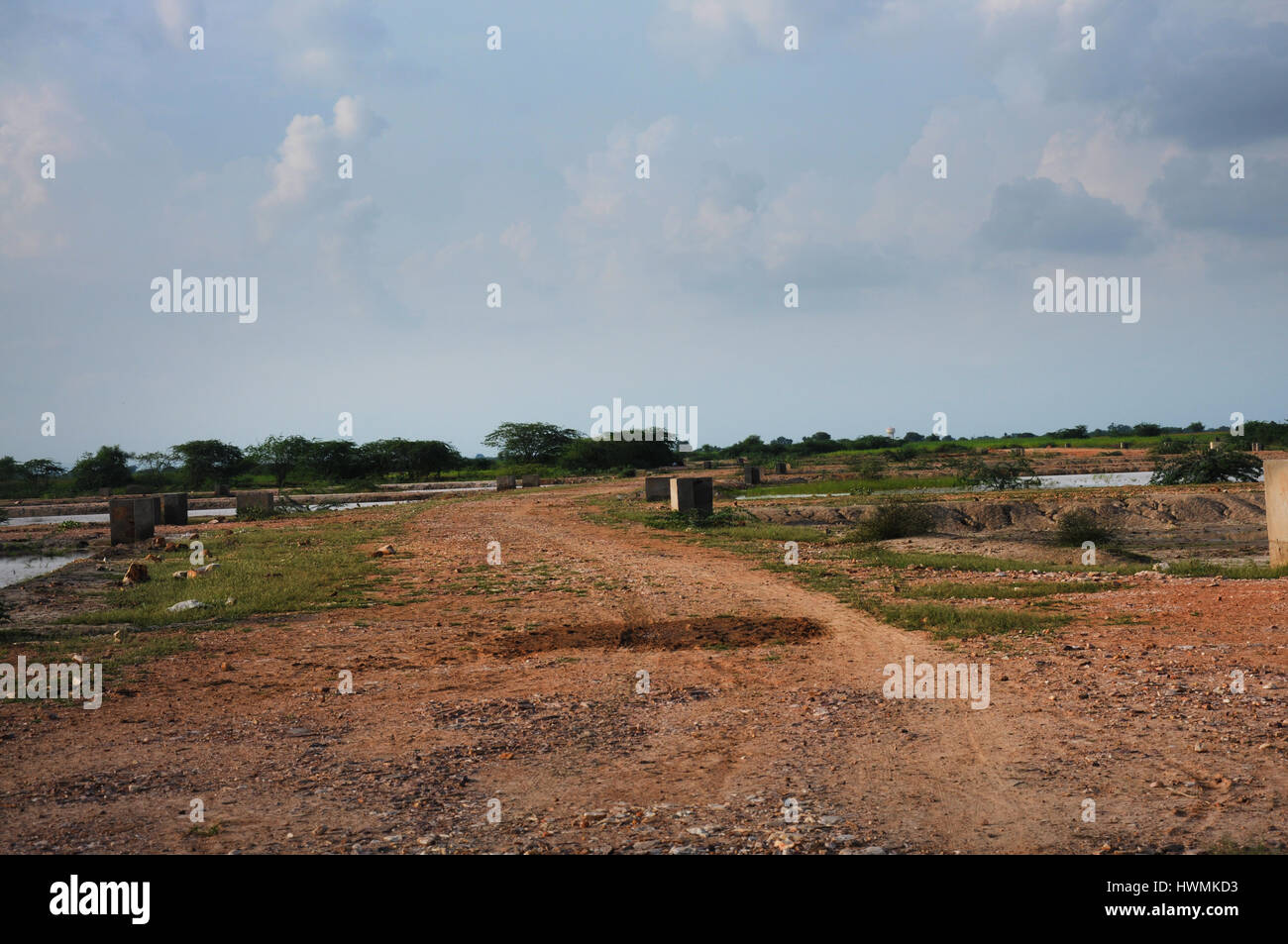 Agricultural Land, green grass, Rural Land, Rajasthan Village Landscape ...