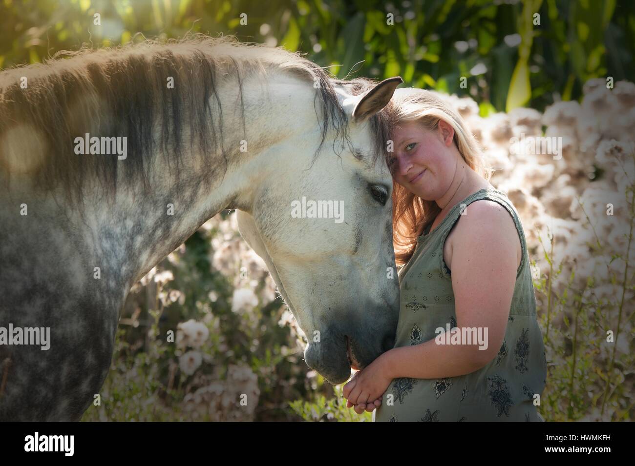 Haflinger Cross High Resolution Stock Photography and Images - Alamy