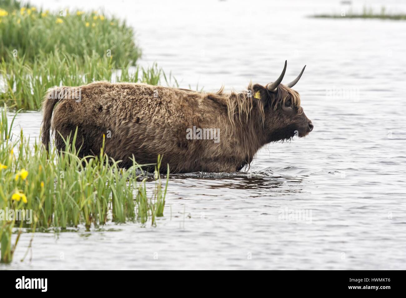 Galloway's view hi-res stock photography and images - Alamy