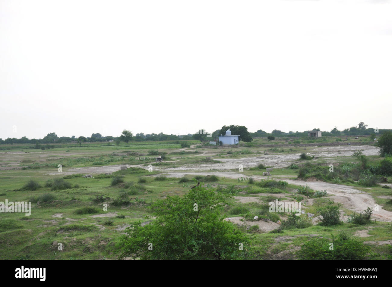 Agricultural Land, green grass, Rural Land, Rajasthan Village Landscape ...
