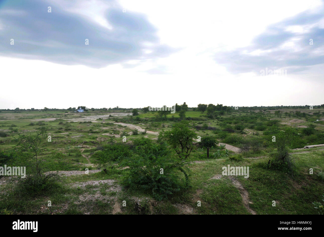 Agricultural Land, green grass, Rural Land, Rajasthan Village Landscape ...