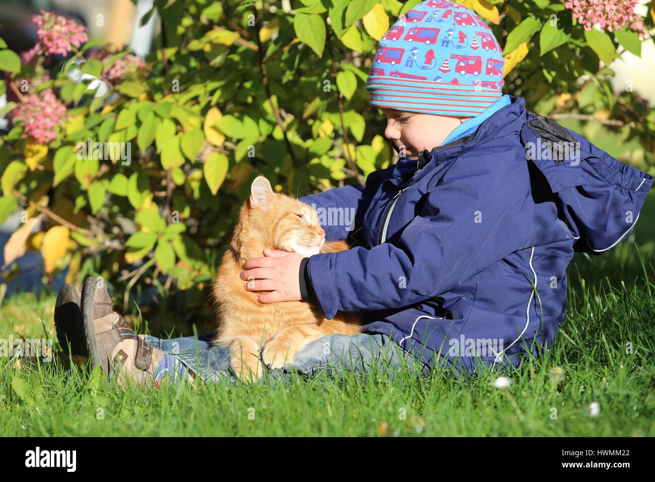 Child touch cat hi-res stock photography and images - Alamy