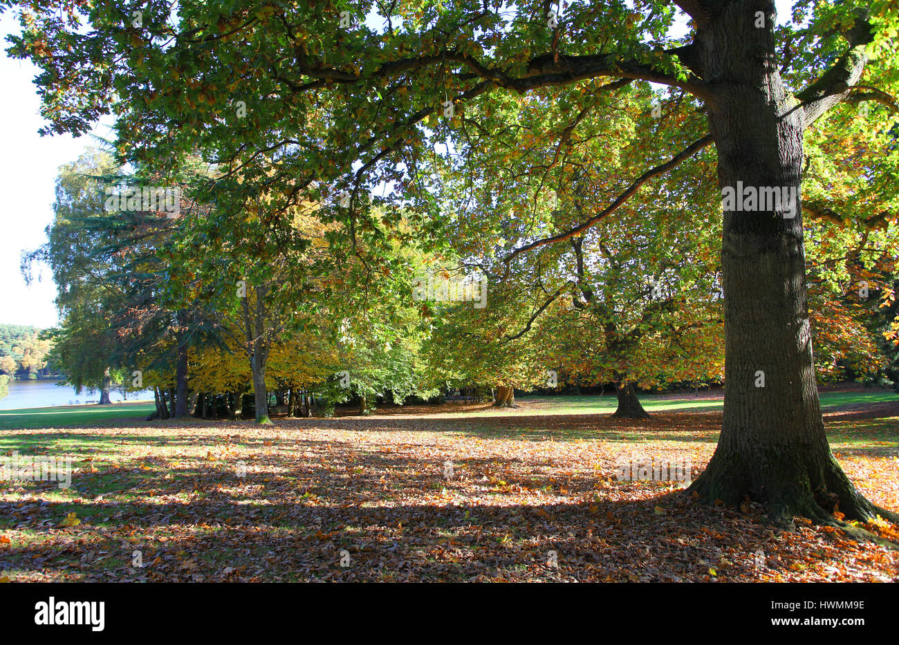 Tilgate park crawley west sussex hi-res stock photography and images ...