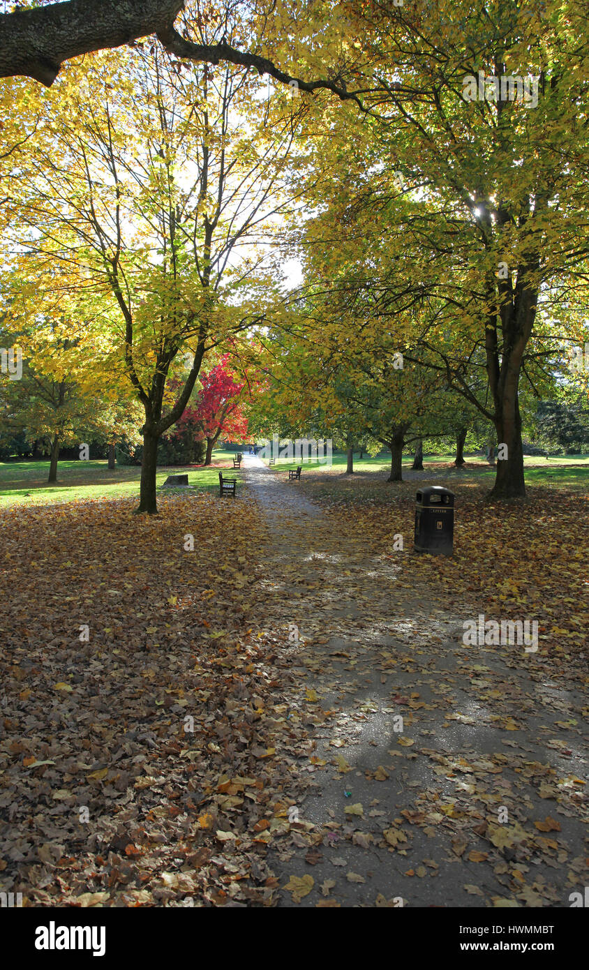 Tilgate park crawley west sussex hi-res stock photography and images ...
