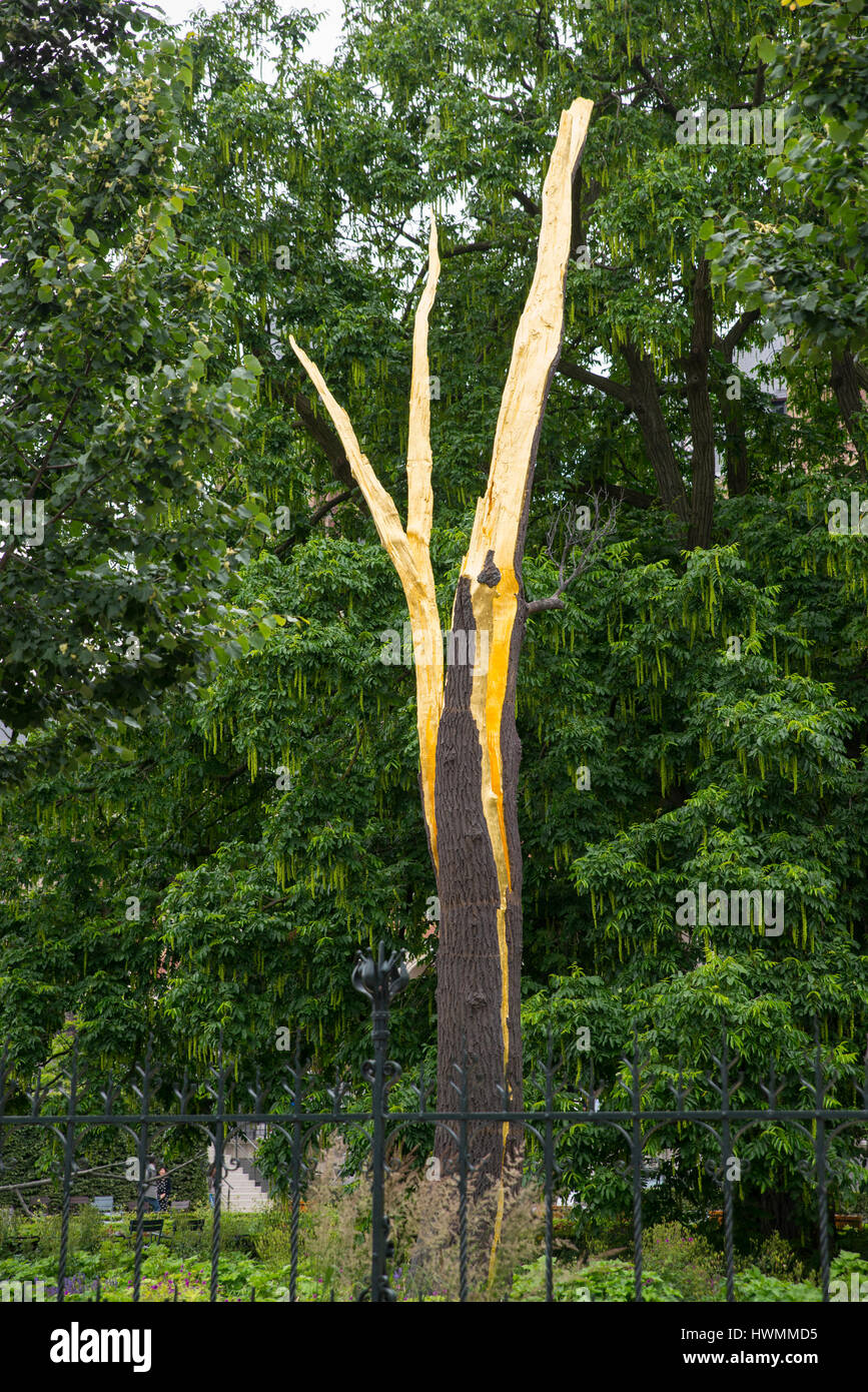 Penone tree hi-res stock photography and images - Alamy