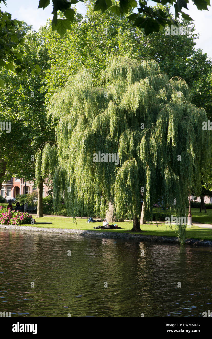 Sarphatipark amsterdam hi-res stock photography and images - Alamy