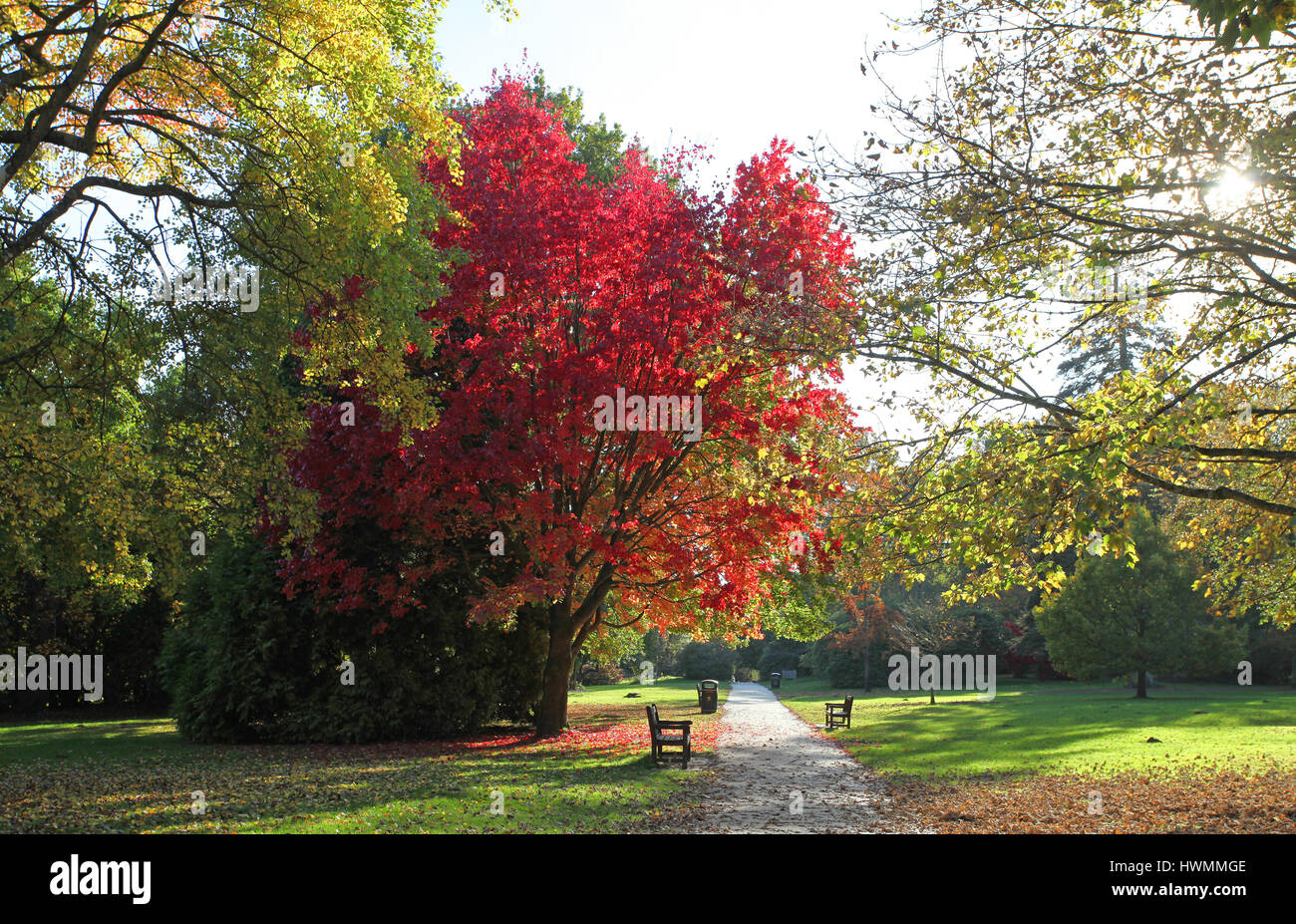Tilgate park hi-res stock photography and images - Alamy