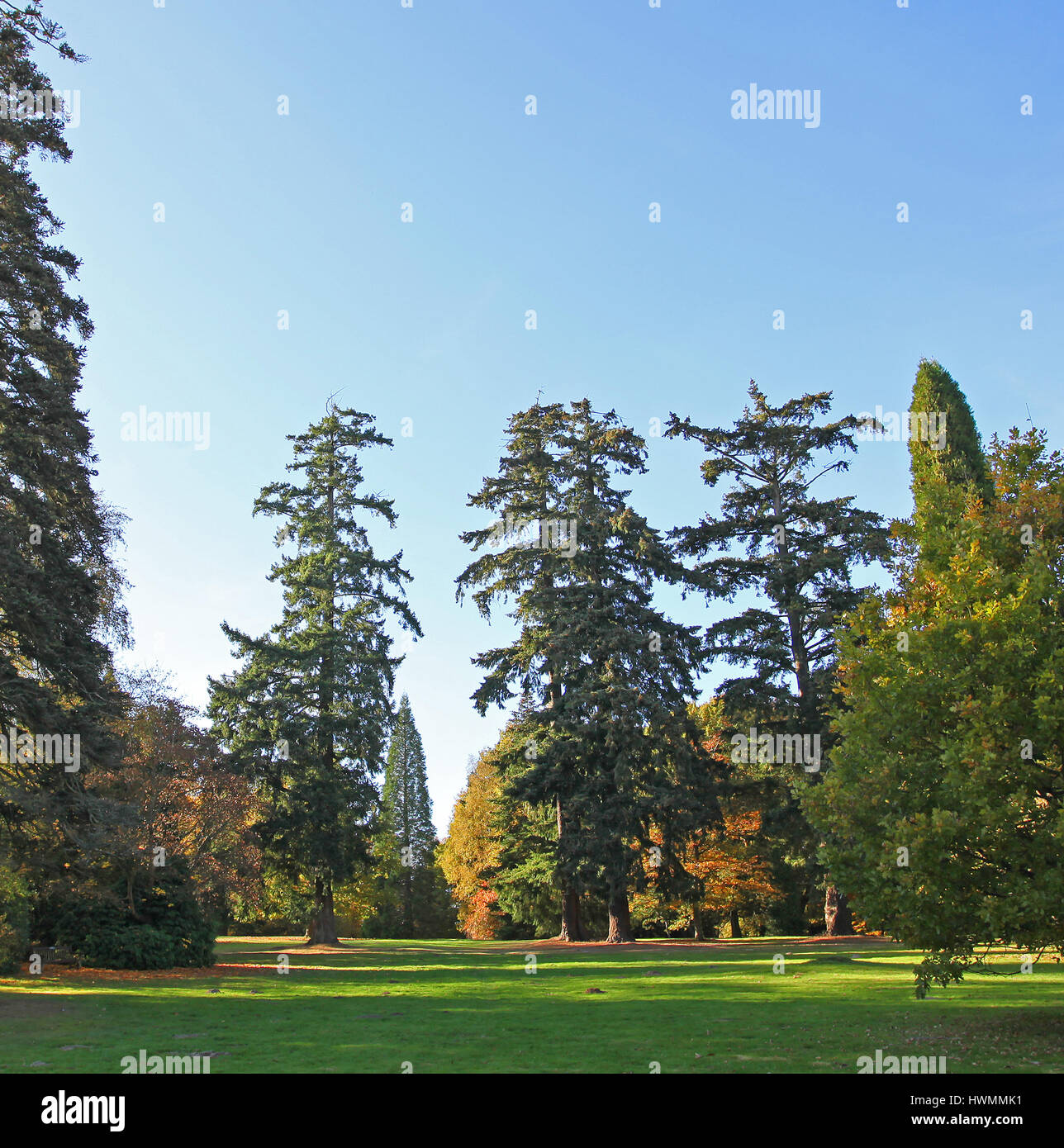 Tilgate park crawley west sussex hi-res stock photography and images ...