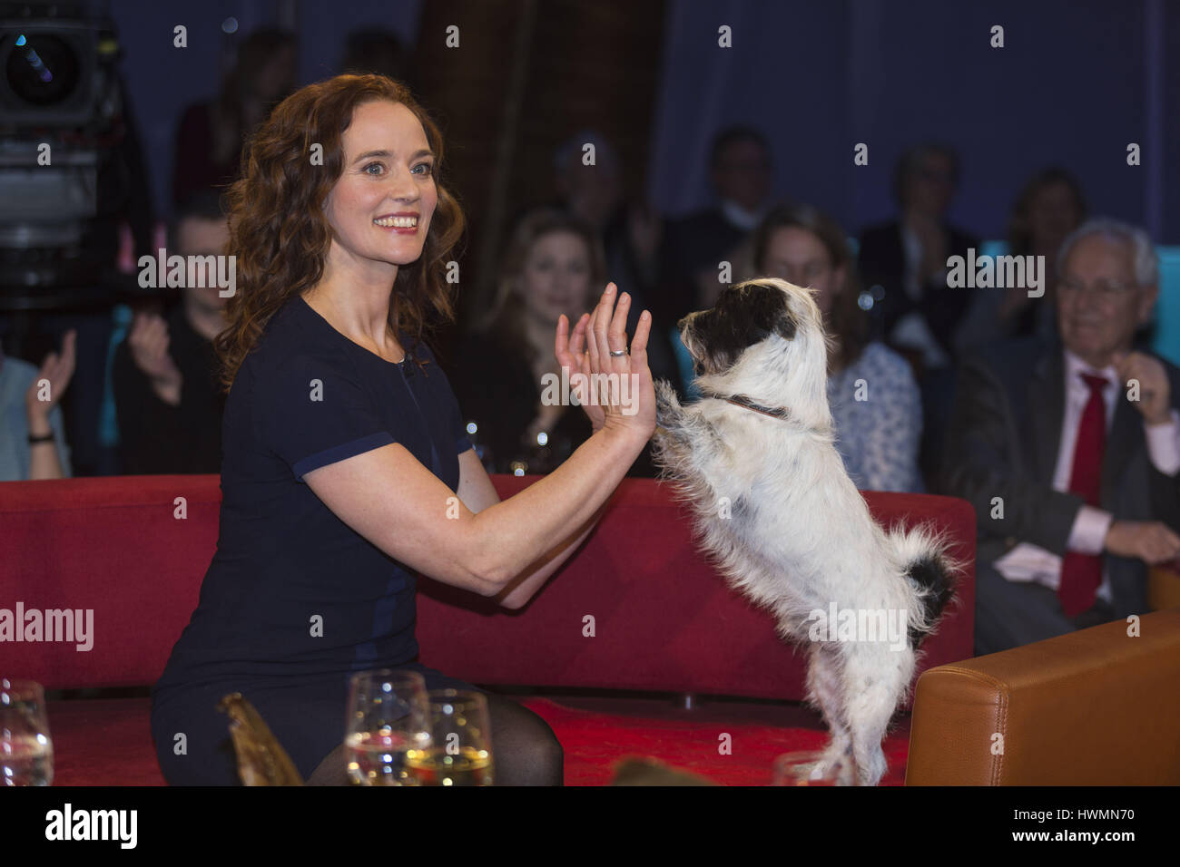 Kitchenham hi-res stock photography and images - Alamy