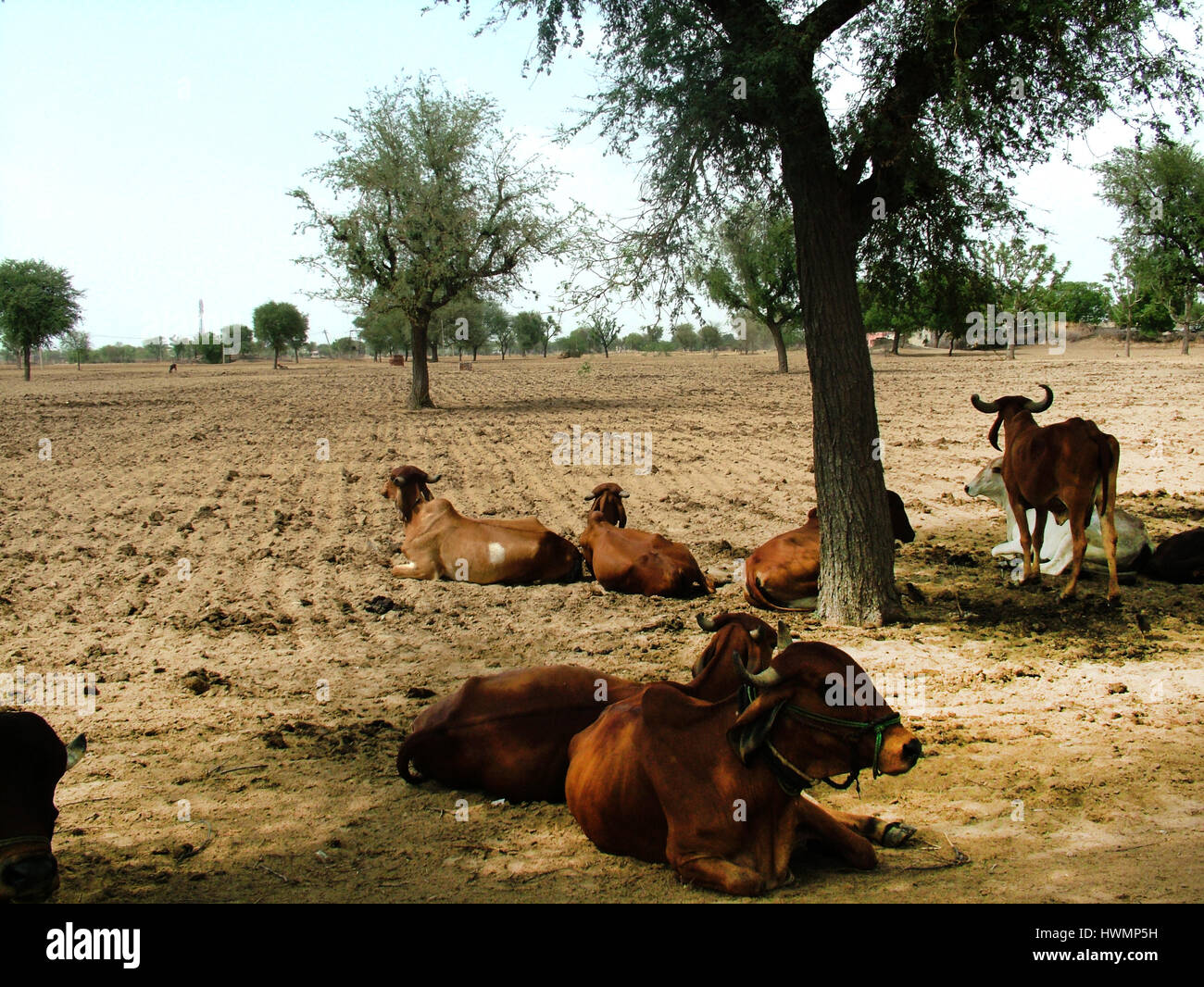 Bihar india map hi-res stock photography and images - Alamy