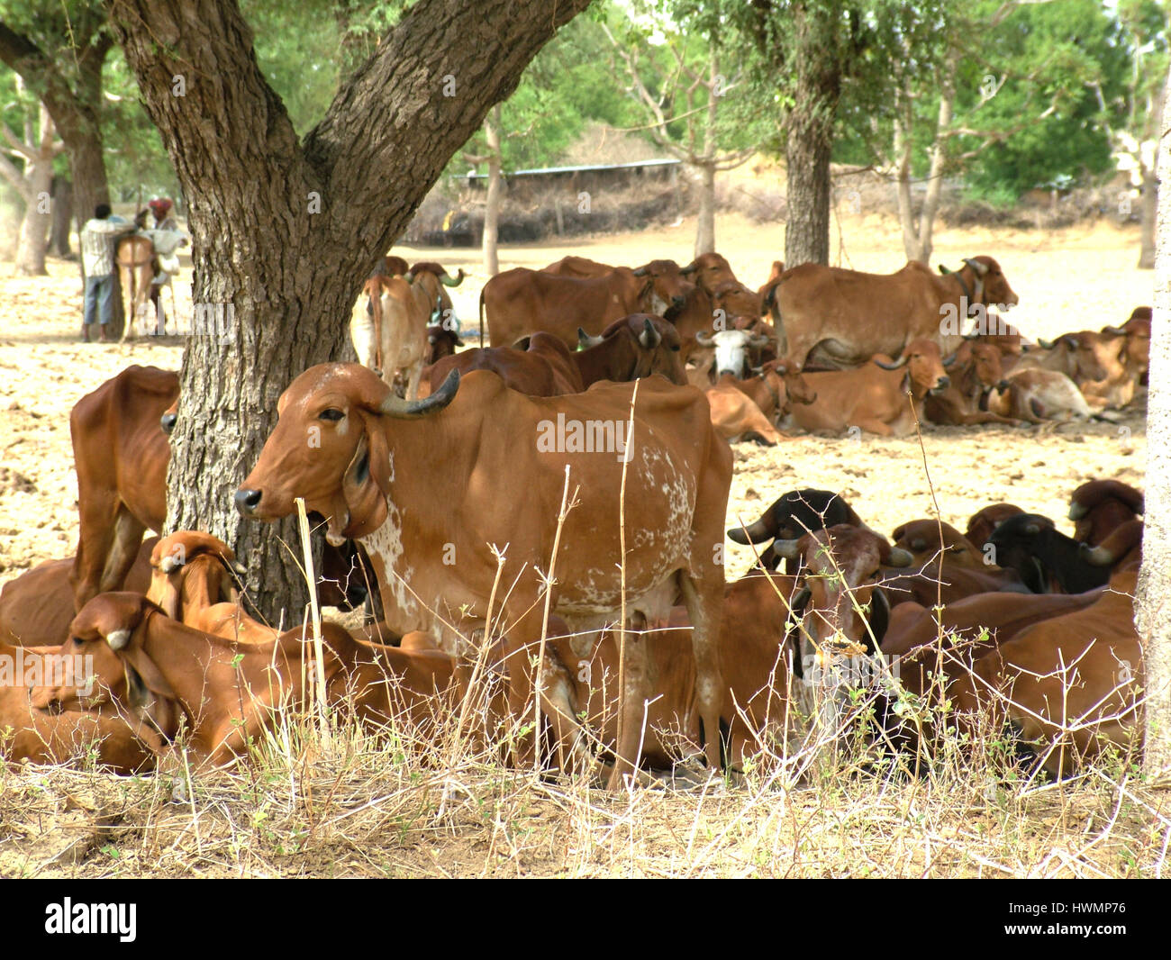 High definition map hi-res stock photography and images - Alamy