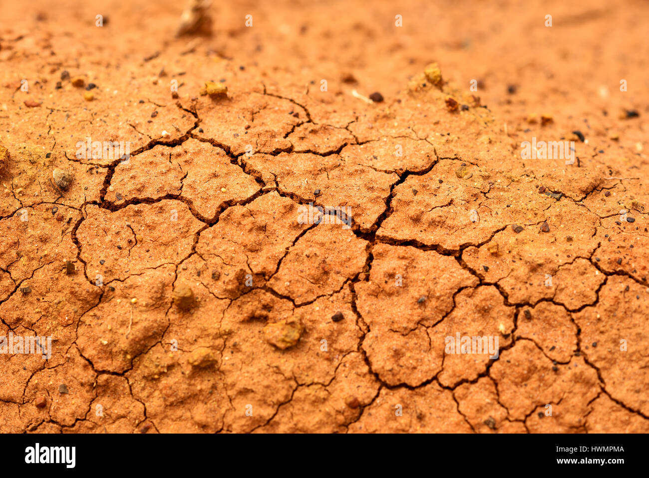 Dry earth, red sand, dryness, drought, outback, Australia, Western ...