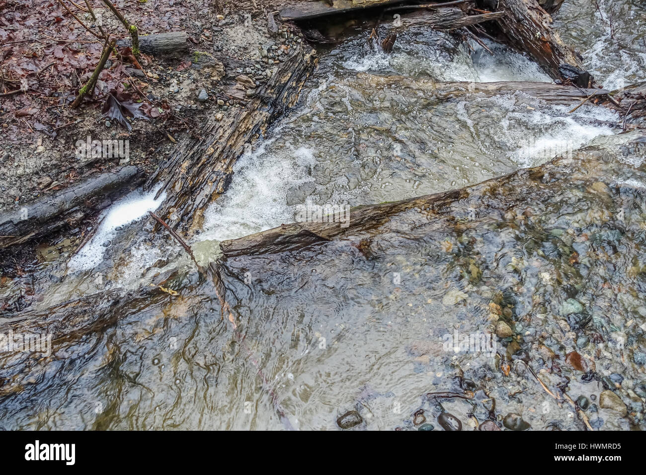 Streambed rocks hi-res stock photography and images - Alamy