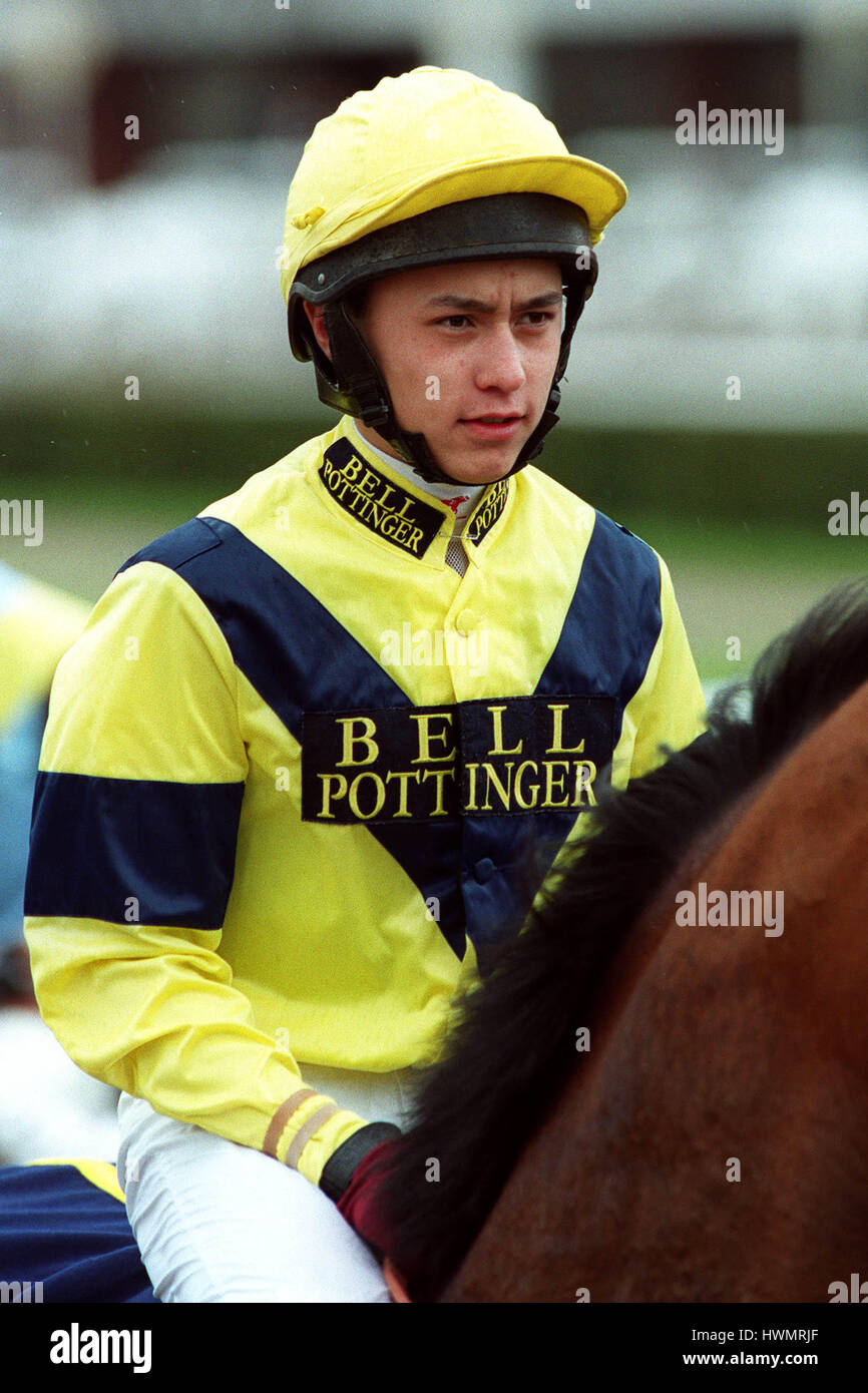 Pollard horse hi-res stock photography and images - Alamy