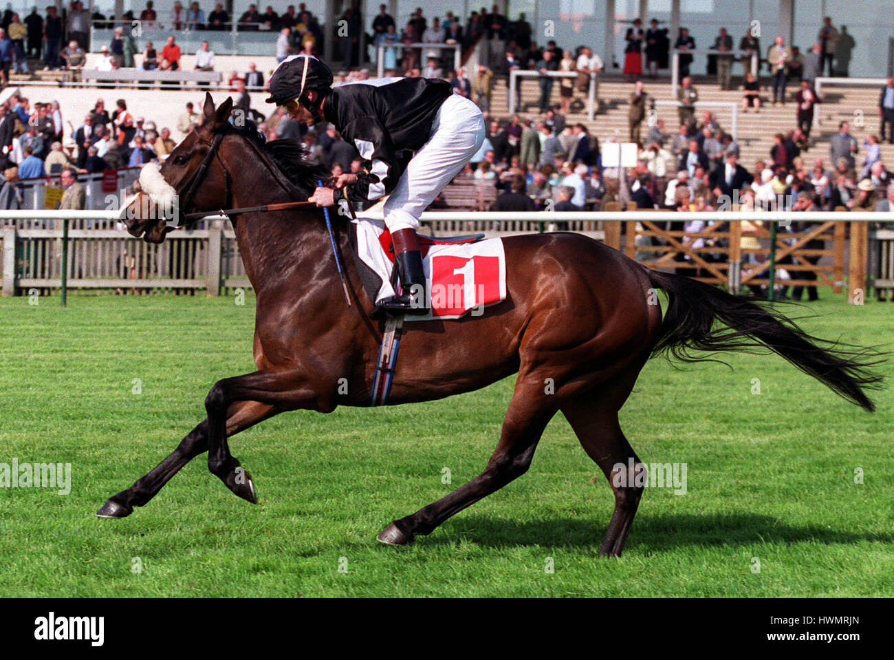 John diamond hi-res stock photography and images - Alamy