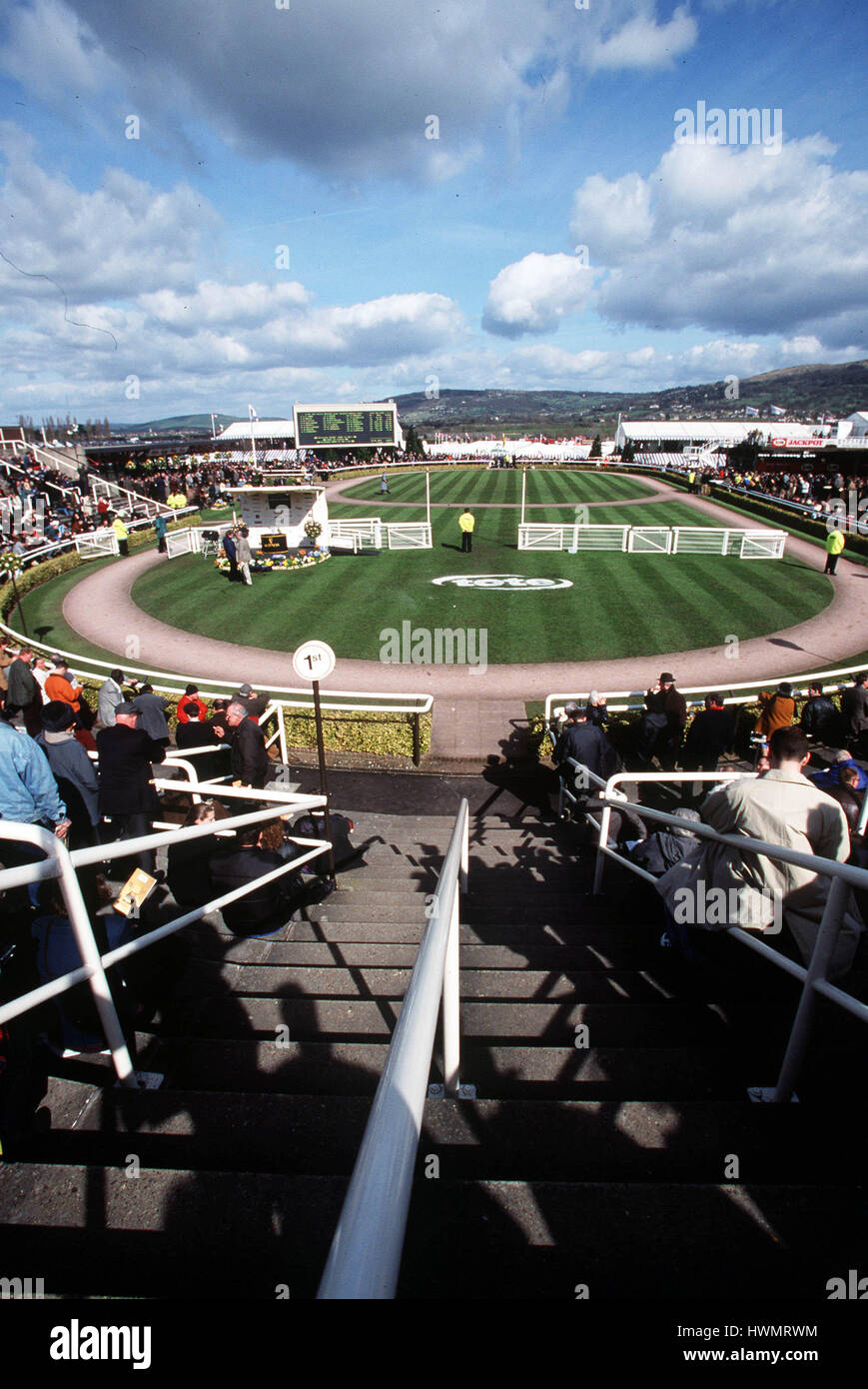 Cheltenham festival parade ring hi-res stock photography and images - Alamy
