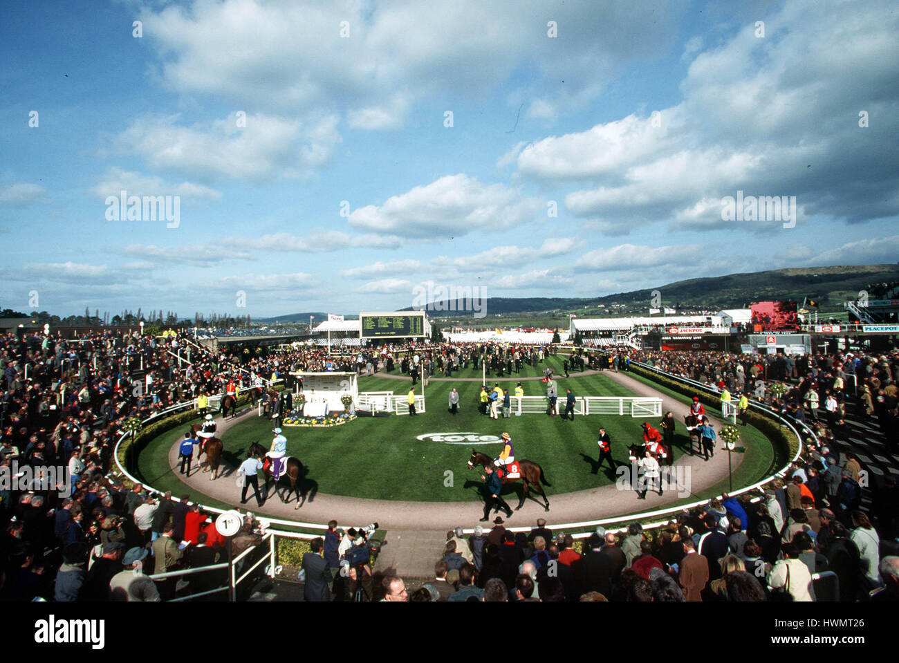 Cheltenham parade ring hi-res stock photography and images - Alamy