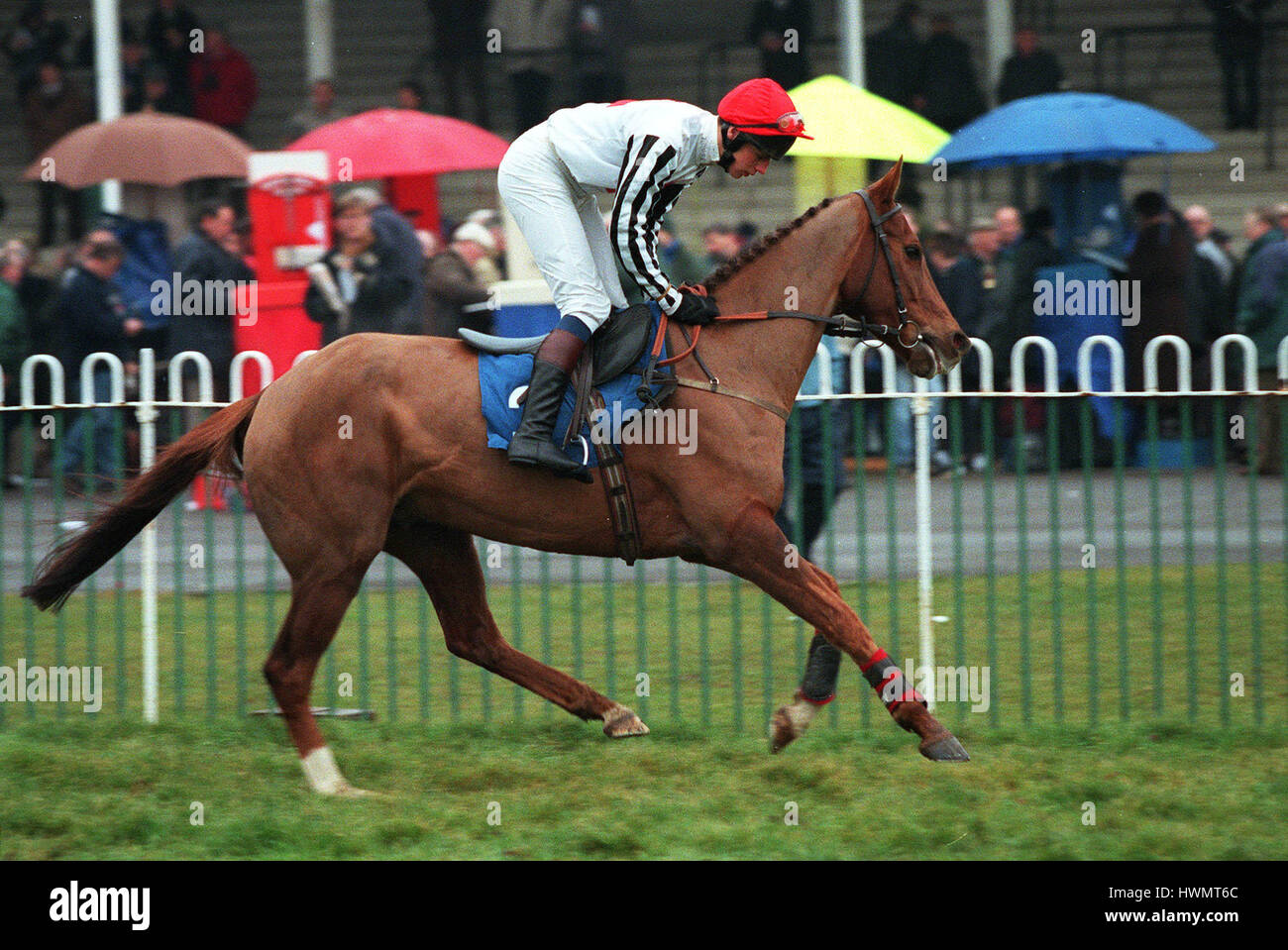 Jardine hi-res stock photography and images - Alamy