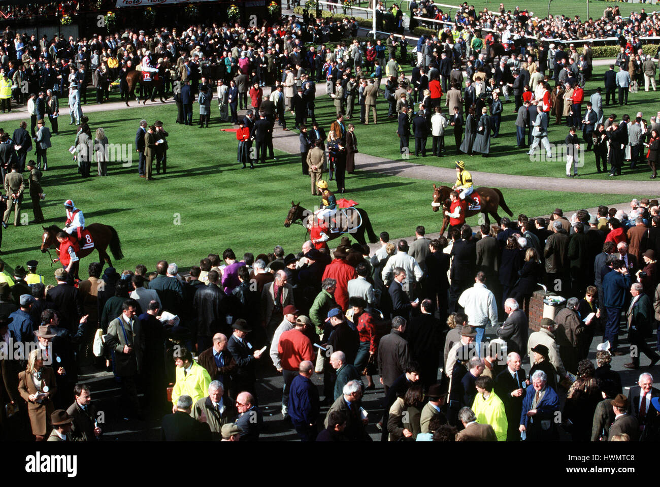 Cheltenham parade ring hi-res stock photography and images - Alamy