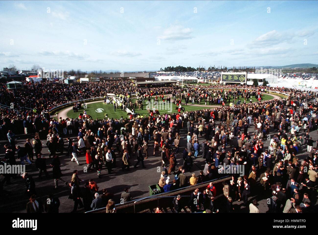 Cheltenham parade ring hi-res stock photography and images - Alamy