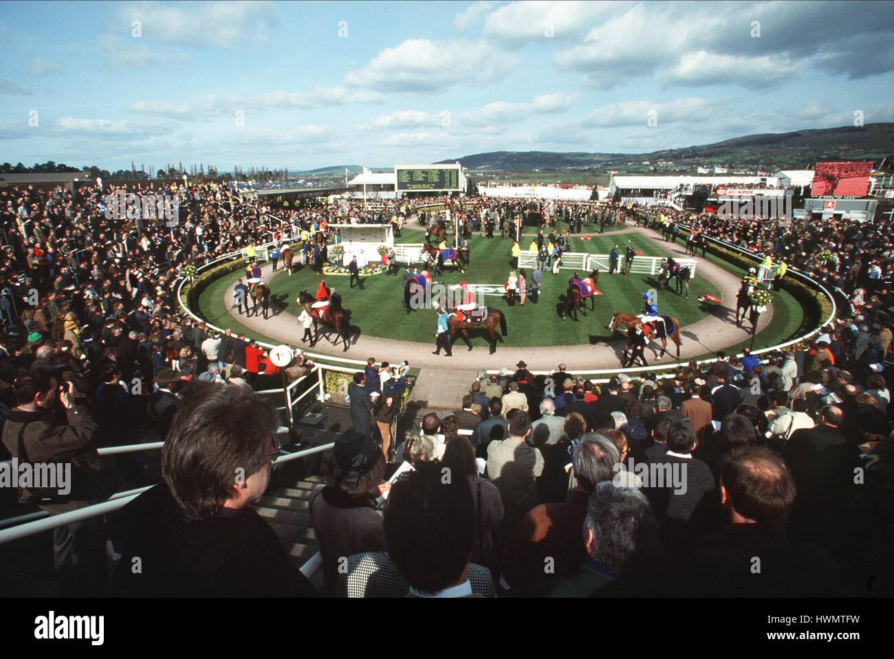 Cheltenham parade ring hi-res stock photography and images - Alamy