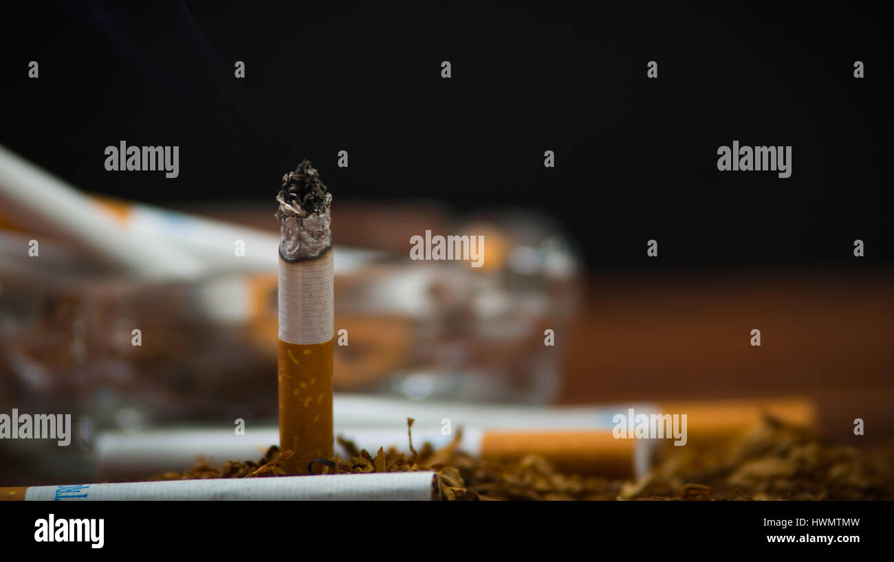 Closeup cigarettes and tobacco lying inside and around glass ash tray ...