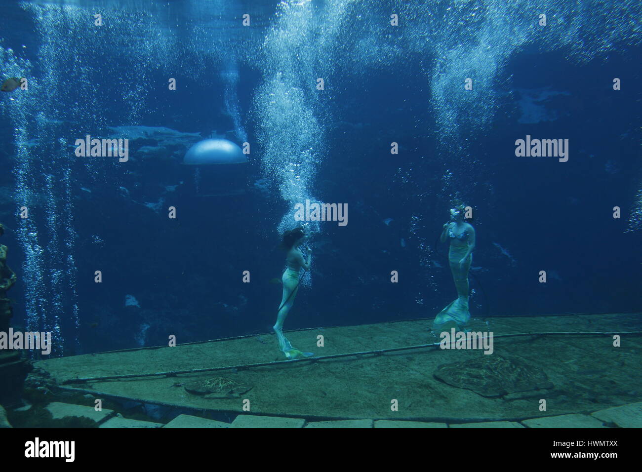Weeki wachee springs state park hi-res stock photography and images - Alamy