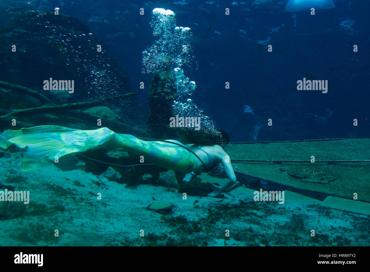 Mermaids performing underwater at Weeki Wachee Springs State Park Stock ...