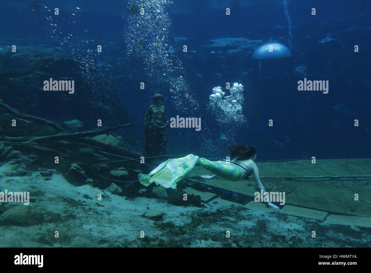 Weeki wachee springs state park hi-res stock photography and images - Alamy
