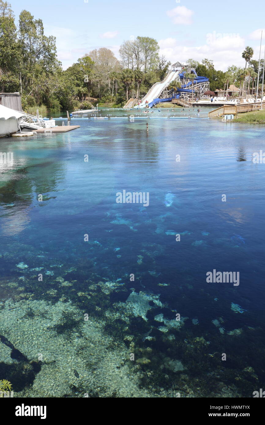 Weeki wachee springs state park hi-res stock photography and images - Alamy