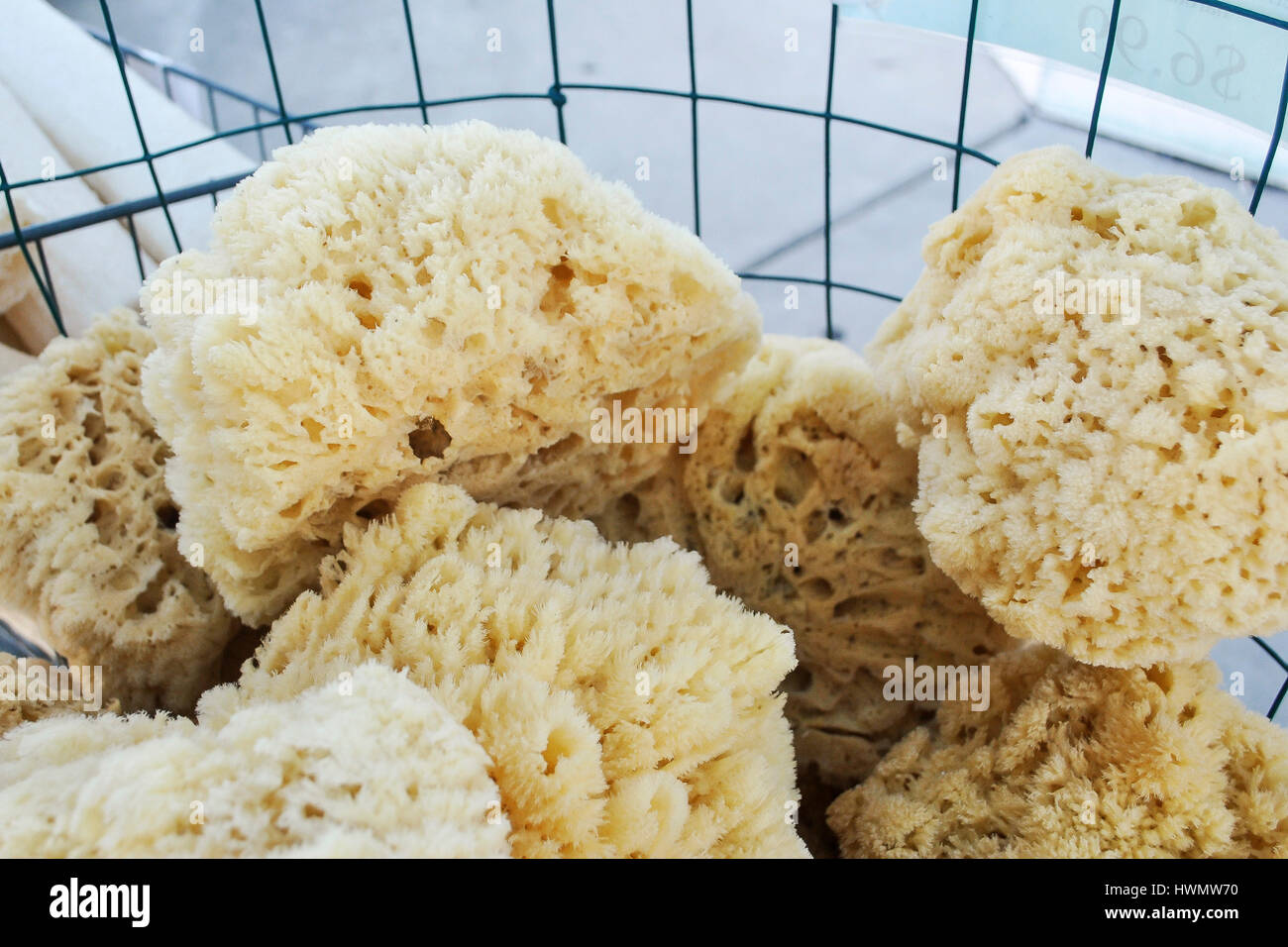 Greek culture tarpon springs hi-res stock photography and images - Alamy