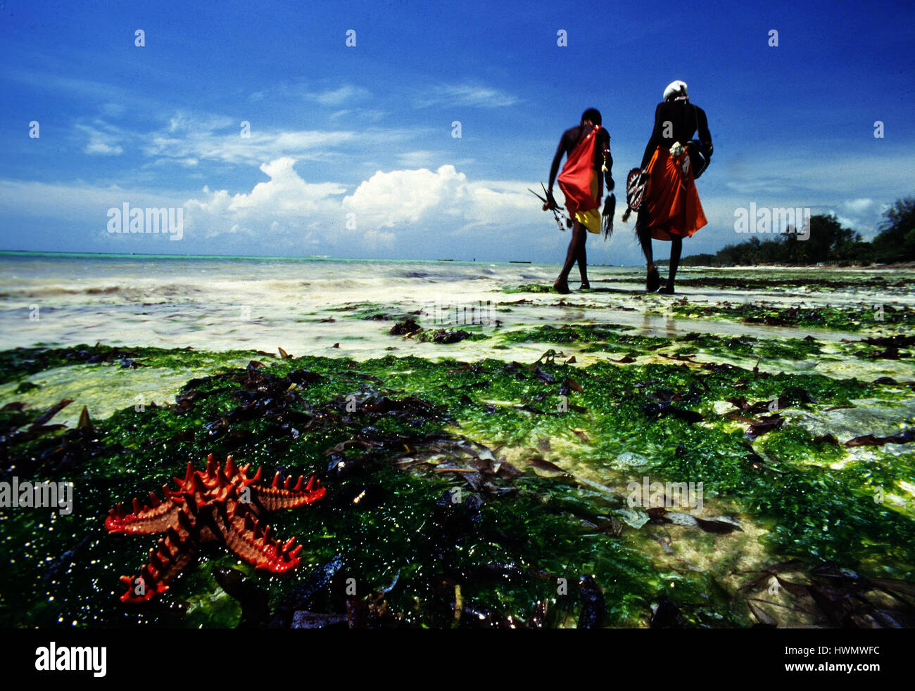 Tiwi beaches hi-res stock photography and images - Alamy