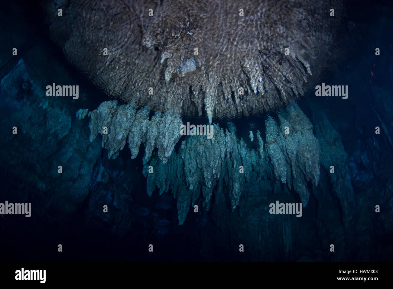 Stalactites roof hi-res stock photography and images - Alamy