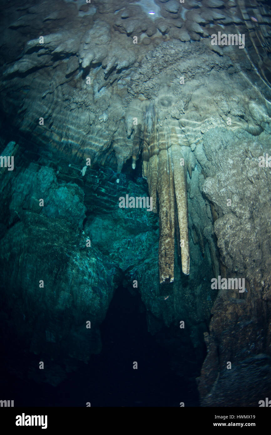 Stalactites underwater in a cave, Chandelier Cave, Palau islands ...