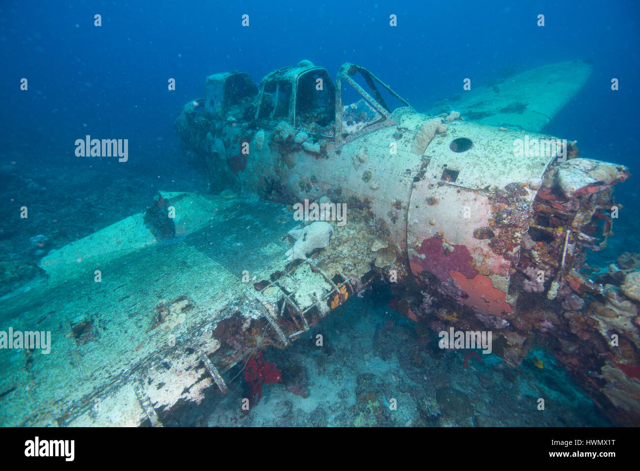Jake Seaplane Wreck, Palau islands, Pacific Ocean Stock Photo - Alamy