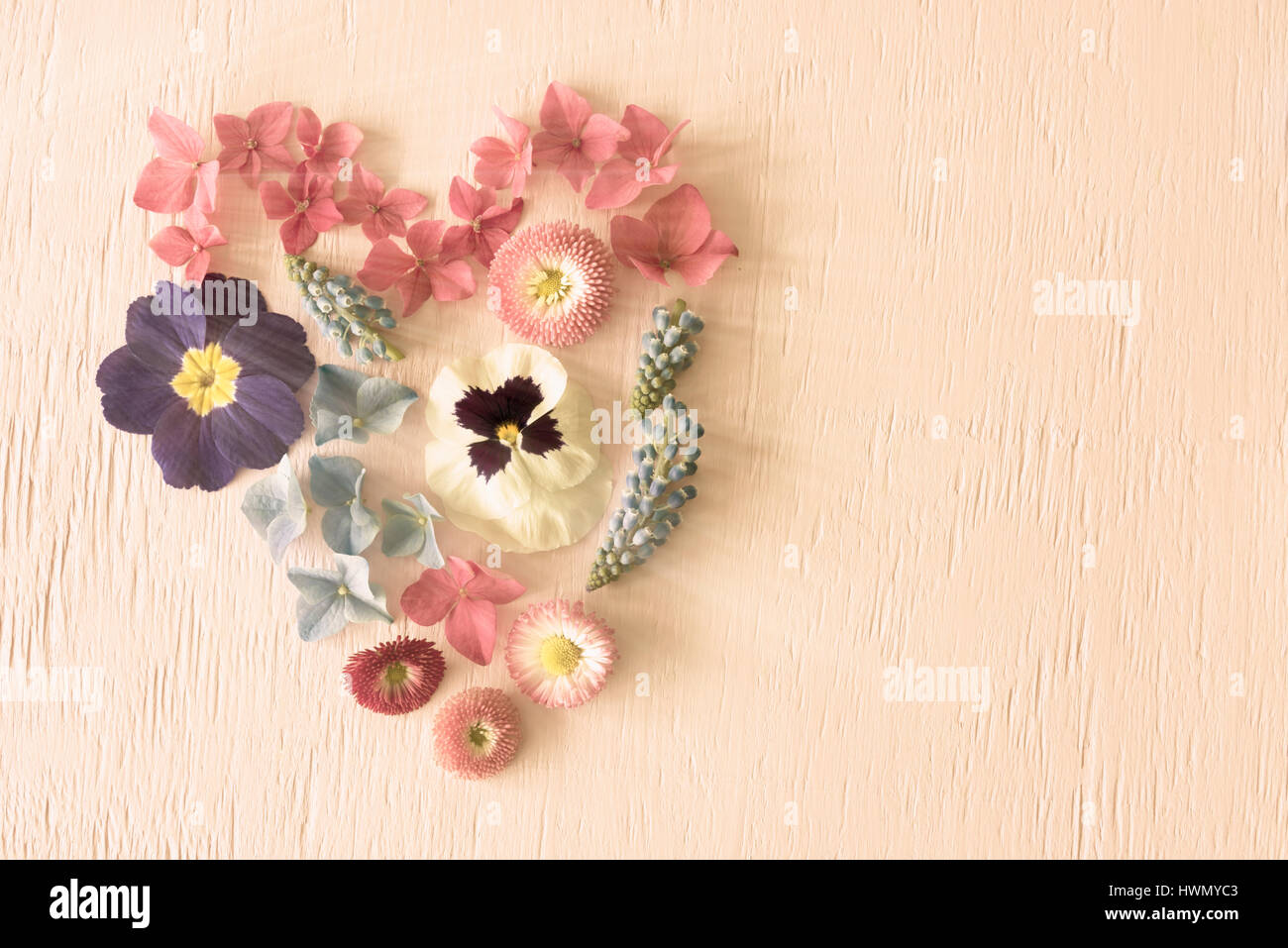 Shiny Spring Flower Blooms, Hear Shape, Copy Sapce Stock Photo - Alamy