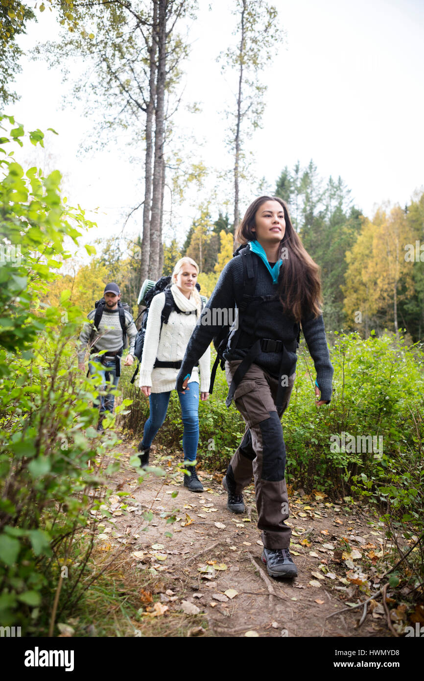 Female Hiker With Friends Walking On Forest Trail Stock Photo - Alamy
