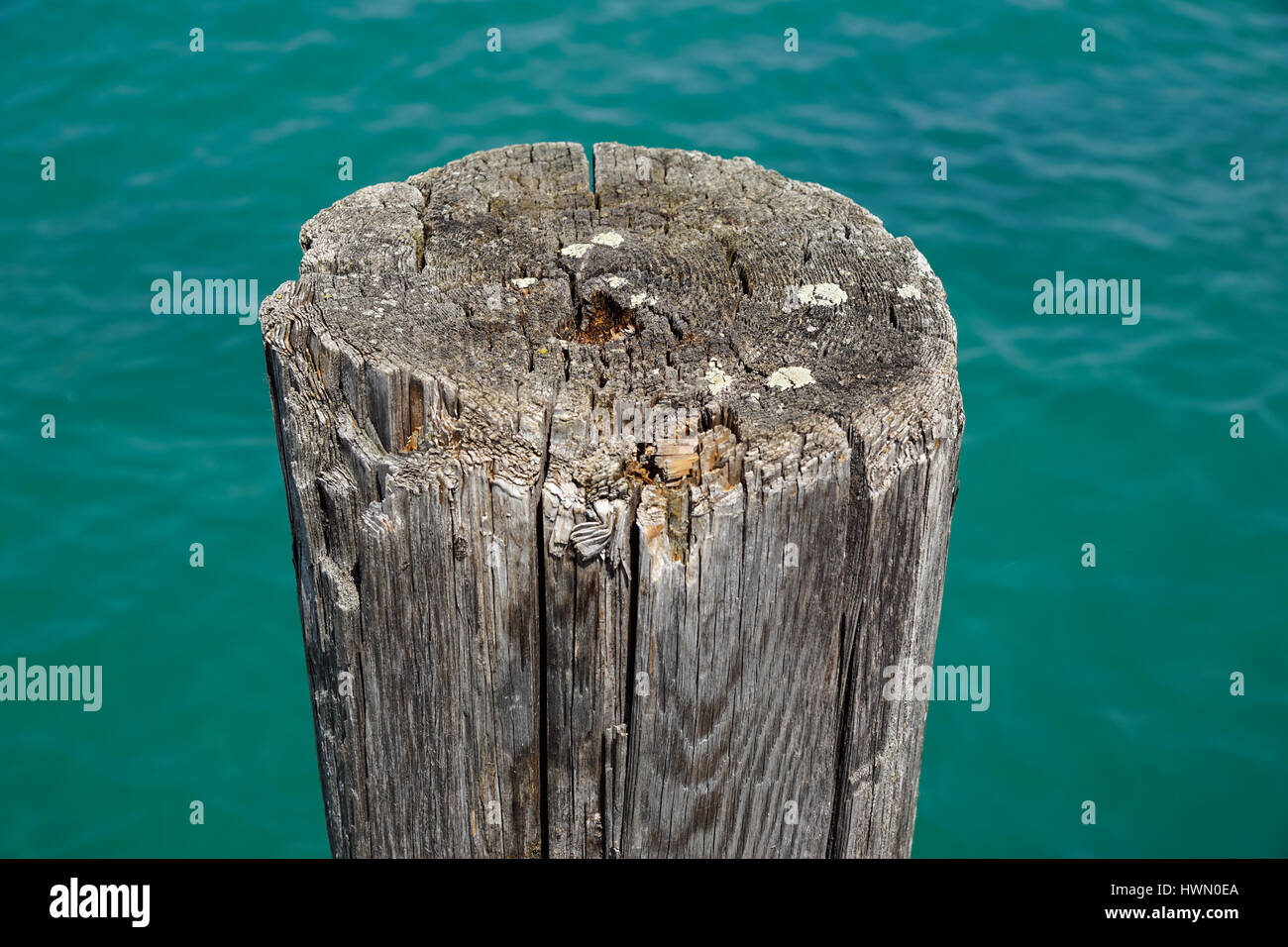 Old pier poles Stock Photo - Alamy